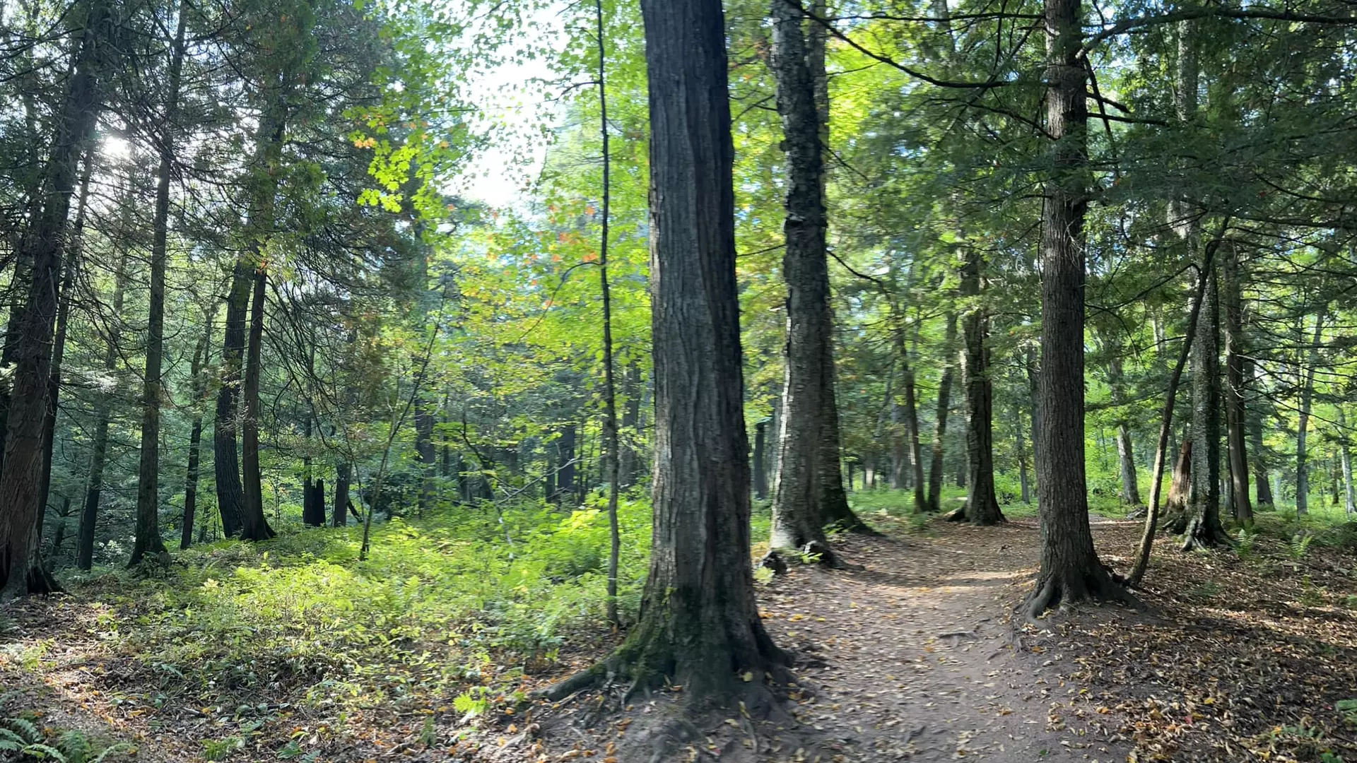 Home Page | St. Germain, Wisconsin
